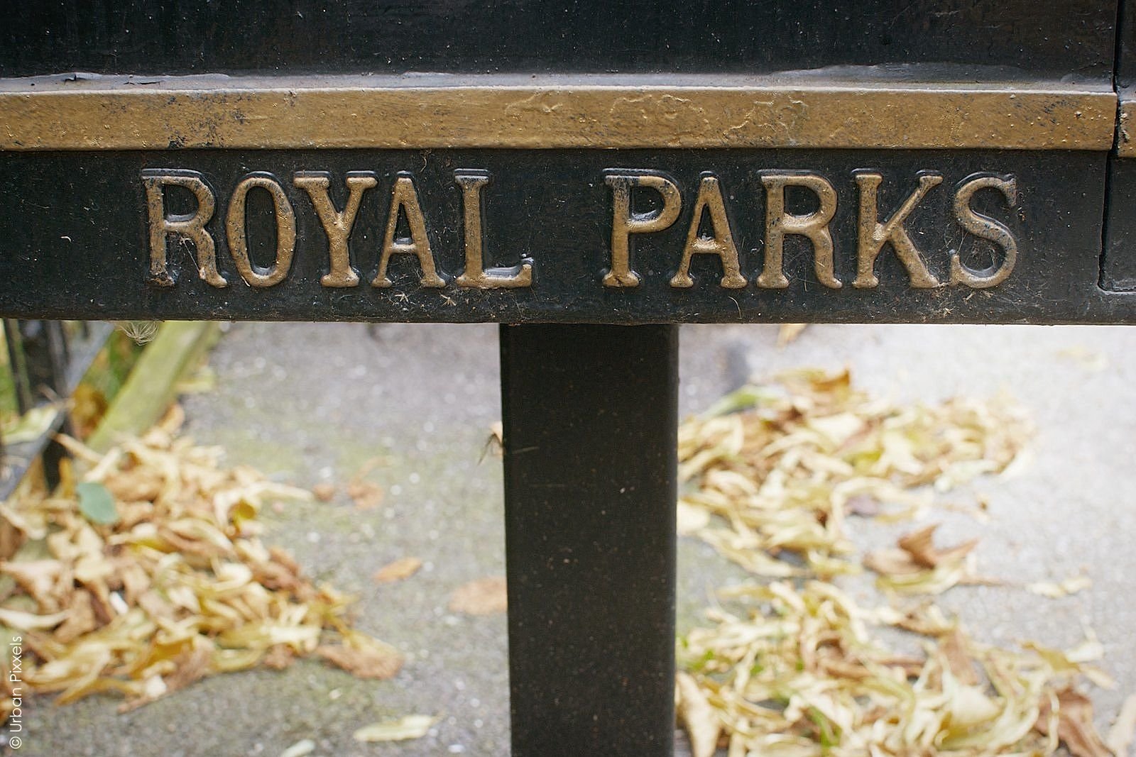 London's Royal Parks - Regent's Park | Urban Pixxels